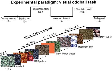 Experimental Paradigm Visual Oddball Task With Scrambled Pictures As Download Scientific