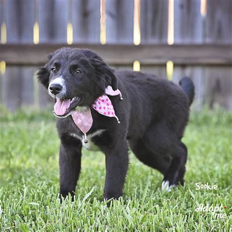 Sookie Twylas Friends