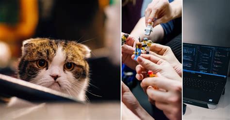 List Coding Practices Curated By Tim Connor Medium