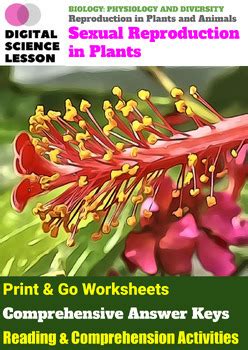 Sexual Reproduction In Plants By Digital Science Lesson TPT