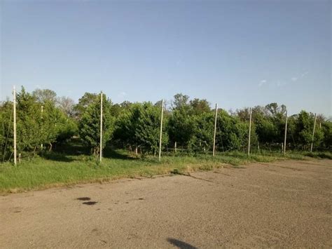 ПРОДАЖА САДОВОДЧЕСКИХ ХОЗЯЙСТВ ПРОДАЖА САДЫ ИНТЕНСИВНОГО ТИПА КУПИТЬ ОРОШАЕМЫЕ САДЫ В