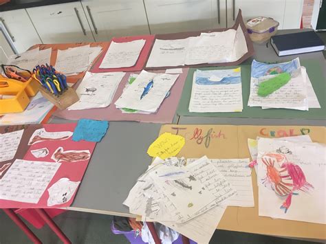 First Class Projects — Saint Fergals National School Bray