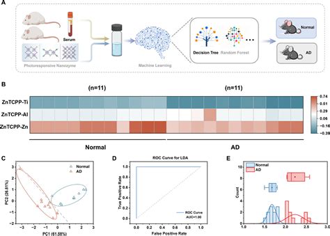 Biomimetic Analysis Of Neurotransmitters For Disease Diagnosis Through