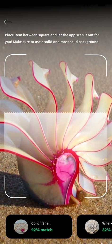 Interactive Quiz App On Behance