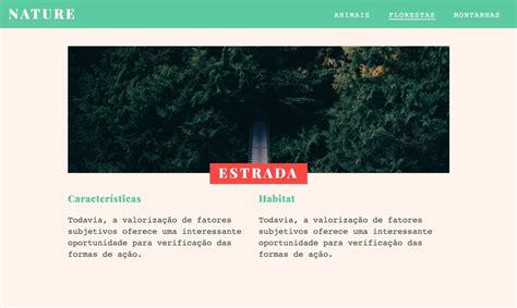 Web Design Uxui Design Html Css Javascript E React Courses And