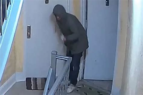 Thieves Tied Up Residents Robbed Them At Gunpoint Cops