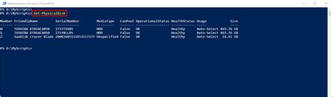 The Powershell Storage Module Initialize Partition Format Check