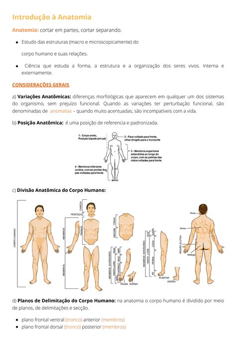 Solution Introdu O Anatomia Studypool