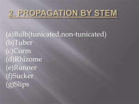 Propagation By Vegetative Structures Ppt