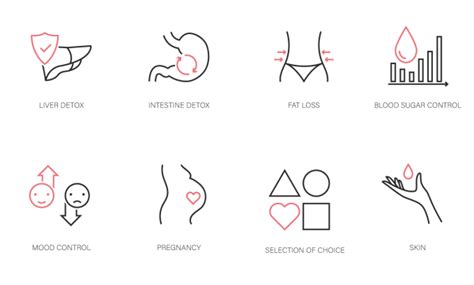 Design Custom Set Of Modern Linear Vector Icons Svg By Sergivasutin
