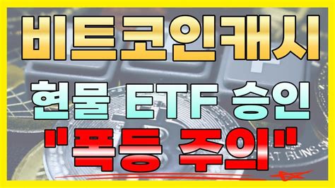 비트코인캐시 현물 Etf 승인된다고 폭등주의 블러리플웨이브하이파이스택스 Youtube