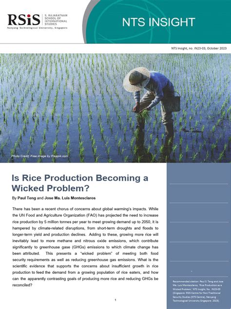 Rice Production As A Wicked Problem Nts Insight 2023 Pdf