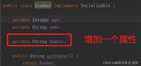Java的序列化和反序列化及其在项目中的使用 极客之音