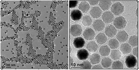 The A SEM And B TEM Images Download Scientific Diagram