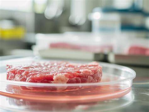 Lab Meat Stock Photos Images And Backgrounds For Free Download