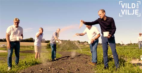 Vild Viden Vild Med Vilje