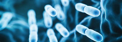 All About Sepsis The Ottawa Hospital Foundation