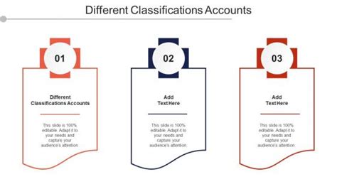 Different Classifications Accounts Powerpoint Presentation And Slides