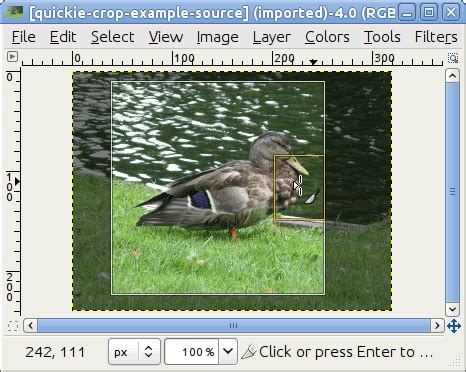 Crop An Image