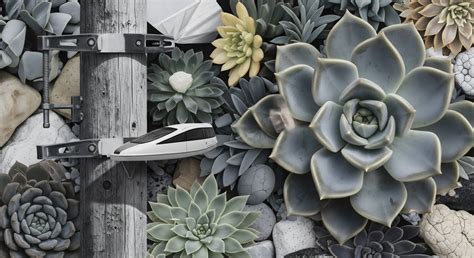 Social Infrastructure Definition → Term