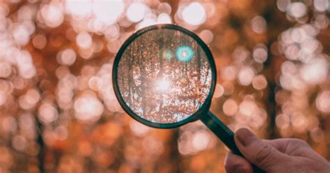 6 Erp Myths Debunked For Ecommerce Sellers Payability