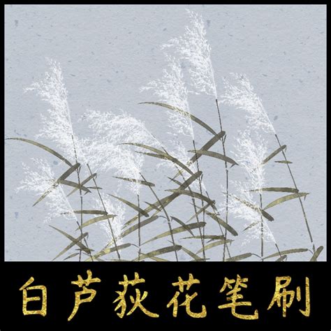 白芦荻花笔刷 优动漫 动漫创作支援平台 优动漫PAINT绘画软件