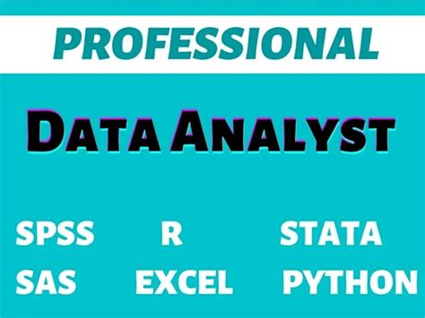 Professionally Conduct Data Analysis With Spss Sass Excel R Or