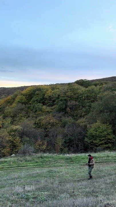 პოინტერით საღამოს გადაფრენაზე Youtube