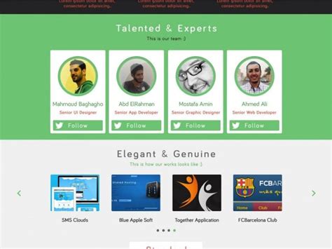 Responsive Landing Page With Customization Upwork