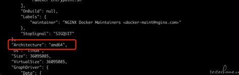 Dockerfile 构建 Vue 镜像,我的踩坑记录和解决方法dockerfile Vue Csdn博客 Dockerfile 构建 Vue 镜像,我的踩坑记录和解决方法dockerfile Vue Csdn博客