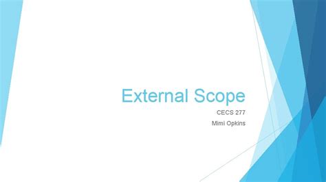 External Scope Cecs 277 Mimi Opkins External Scope