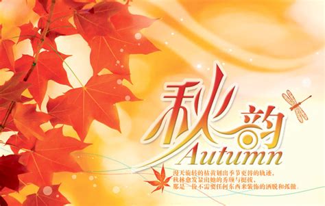 秋韵秋季吊旗 素材中国sccnn