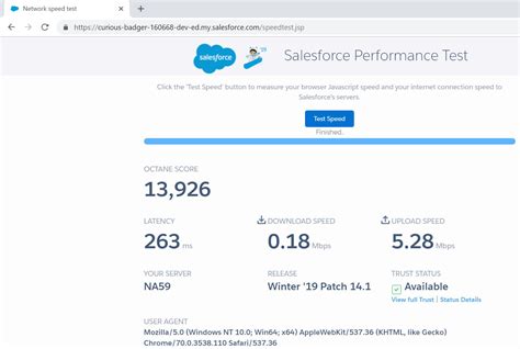 Salesforce Performance Test