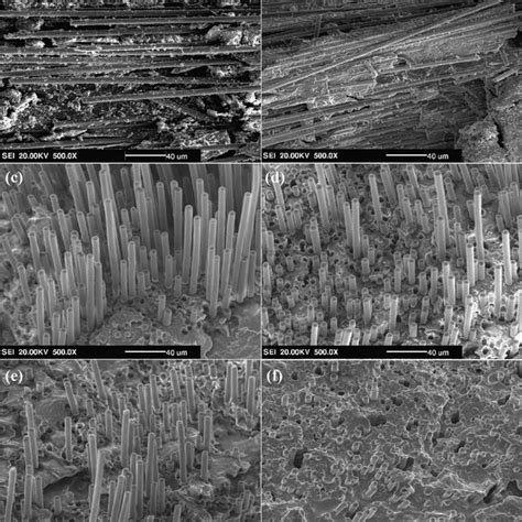 Typical Microstructure Of Fracture Surface Of C Uf Geopolymer