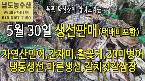 5월 30일판매 생선 자연산 민어회 활 암꽃게 병어 간재미 냉동참조기꽃게갑오징어병어죽상어 반건조민어참목포 남도농수산 탁선장 010 3167