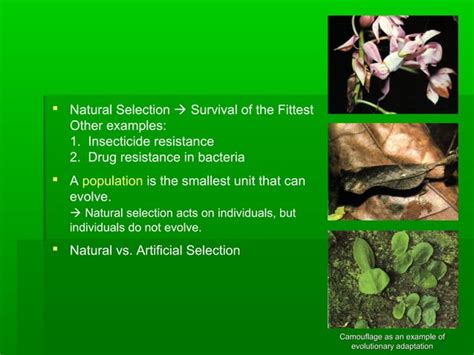 Darwins Theory Of Evolution Ppt
