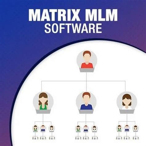Mlm Matrix Plan Software Ii Matrix Mlm Software At ₹ 35000 Piece Mlm Software In Balaghat Id