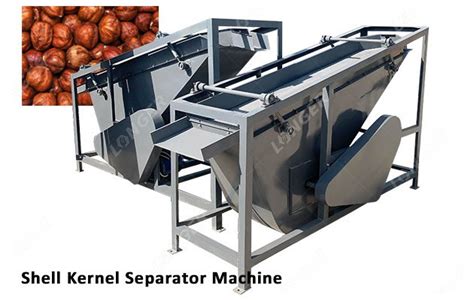 1 T Automatic Hazelnut Processing Machine Line
