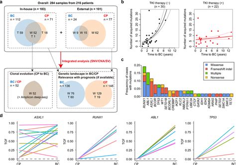 Somatic Mutations Acquired During Clonal Evolution In Cml A Scheme Download Scientific Diagram