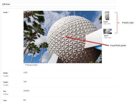 cropping images tutorials our umbraco