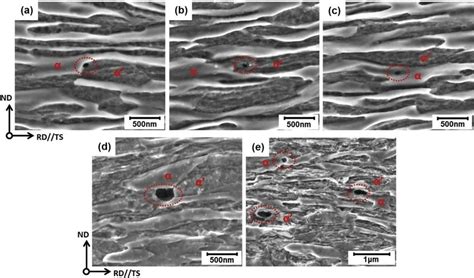 Sem Observations Near The Fracture Surface Of The Tensile Samples Download Scientific Diagram