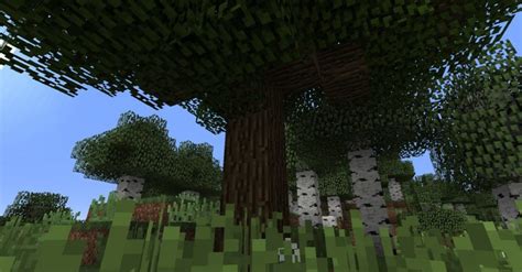 TreeCapitator Mod 1 12 2 MinecraftITA