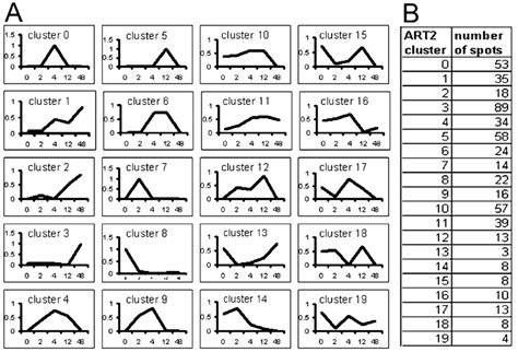 nonhierarchical art2 clustering a representative expression patterns