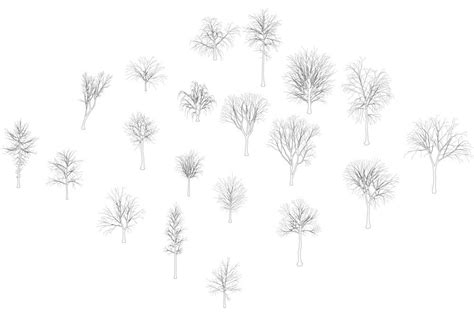 Isometric Trees Vol 1 Axonometric Drawing Urban Landscape Design Isometric