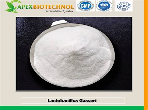 Lactobacillus gasseri | tradekorea