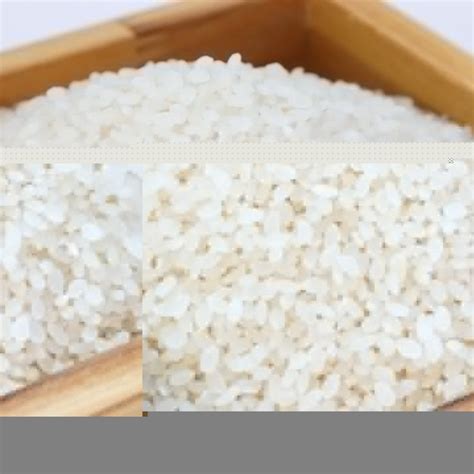 Tipos De Arroz Pelo Mundo Conheça A Variedade Incrível Do Grão