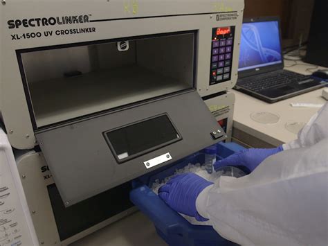 Sample Preparation For Mass Spectrometry Based Identification Of Rna Binding Regions