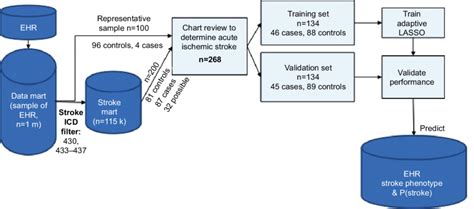 Stroke Classification Flowchart For Chart Reviews Abbreviations Ehr