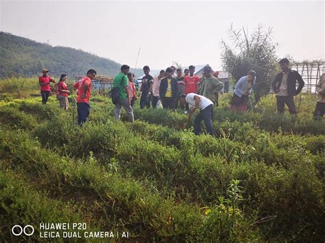 ບໍລິສັດ Ssafe Consult ທີ່ປຶກສາ ສັງຄົມ ກະສິກຳ ປ່າໄມ້ ແລະ ສິ່ງແວດລ້ອມ ຍືນຍົງ ບໍລິສັດ Ssafe