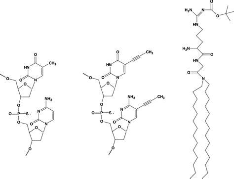 Chemical Structures Of A Phosphorothioate Dimer Containing Unmodified T Download Scientific